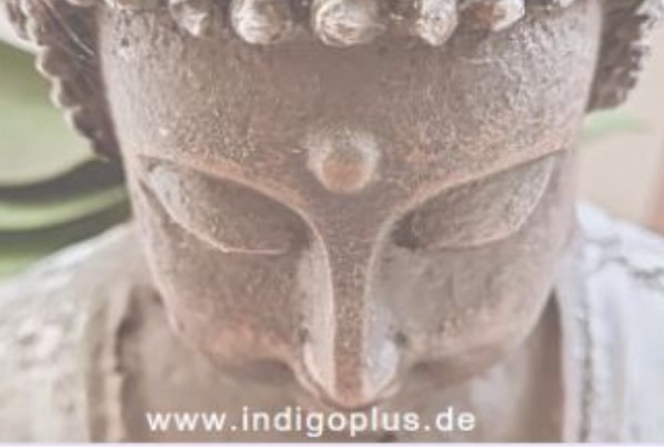 IndigoPlus - HOME
